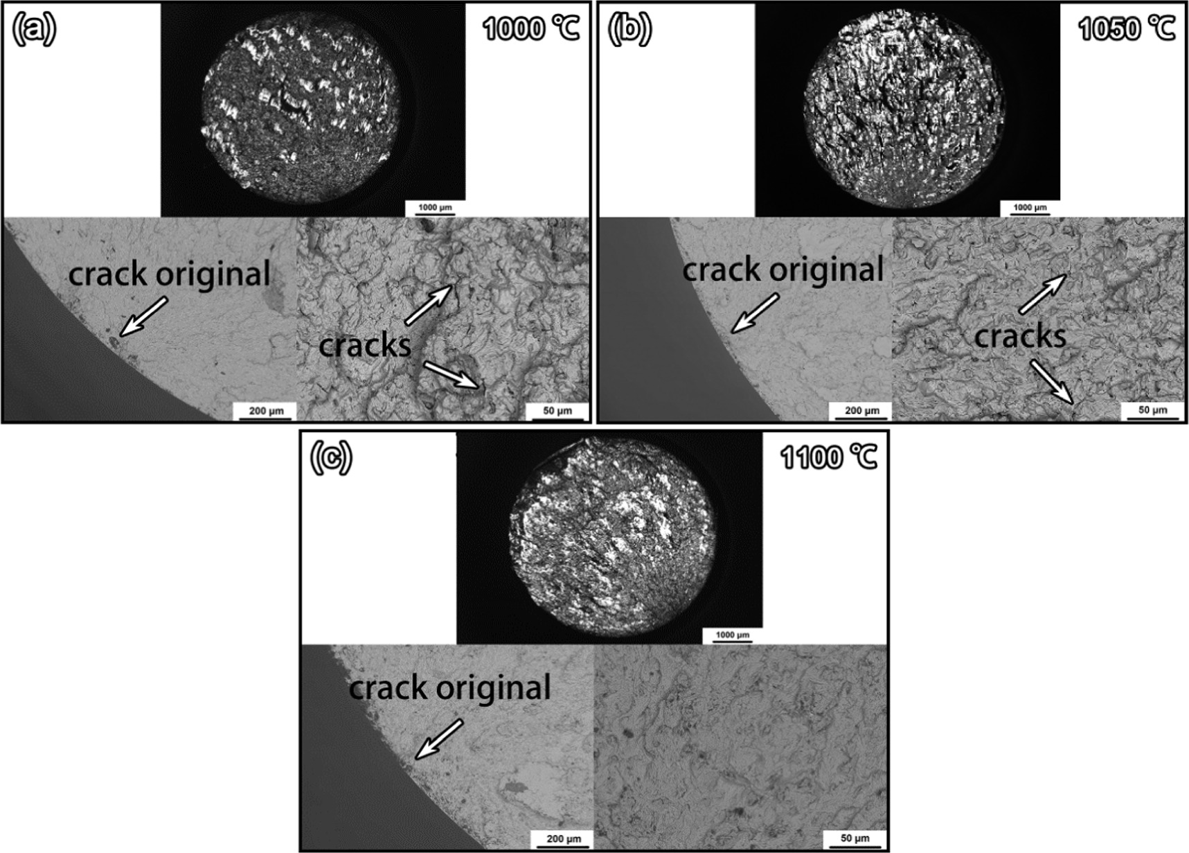 Hot deformation behavior and processing workability of a powder forged ...