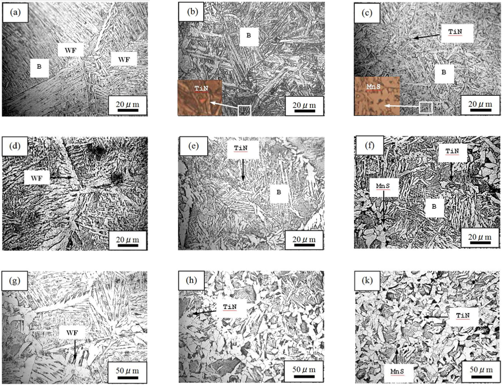Observation of inclusions and intra-granular ferrite evolutions at the ...
