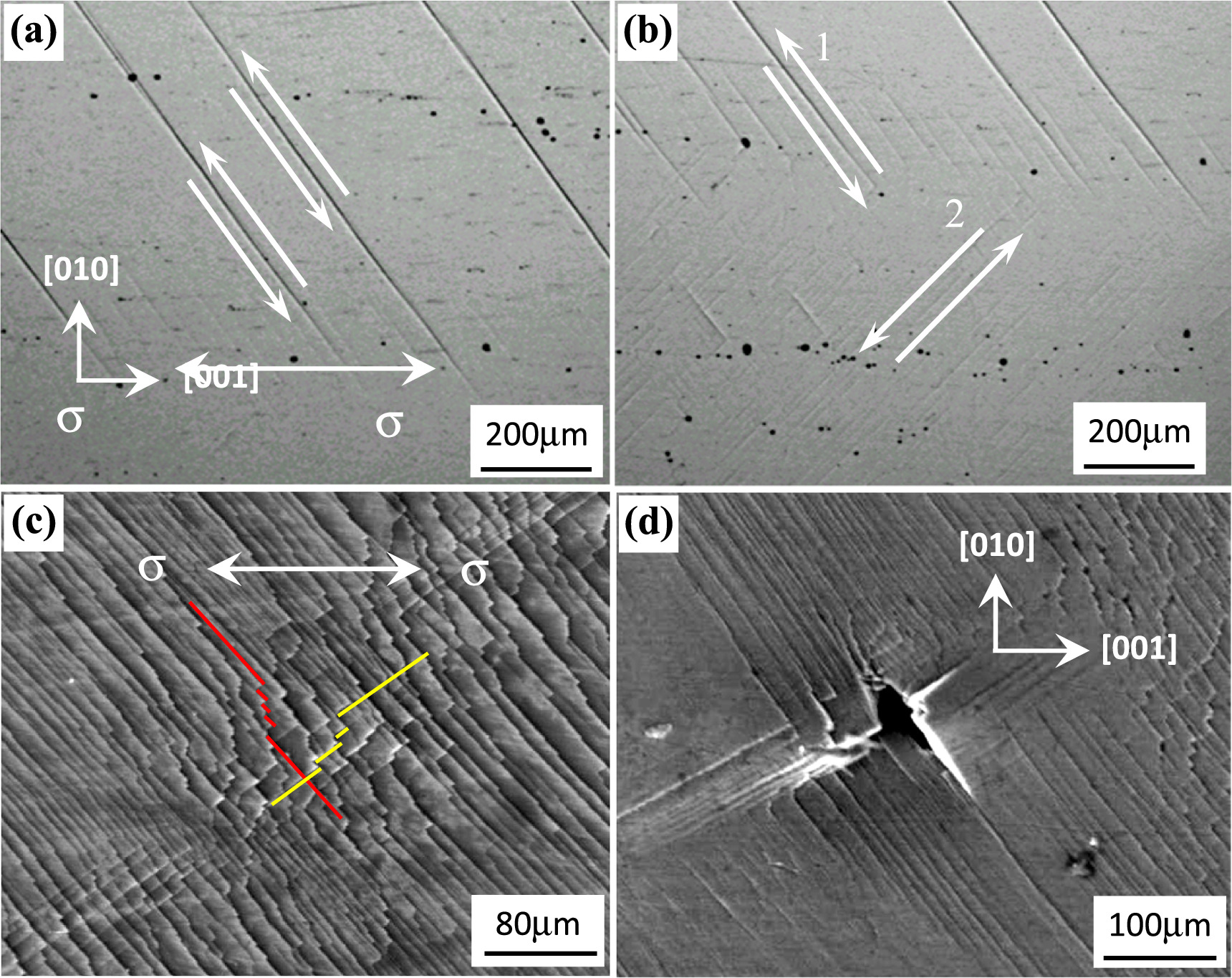 Room temperature creep behavior of a single crystal nickel-based alloys ...