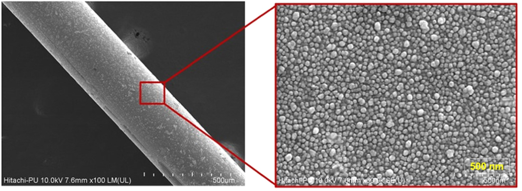 A combinatorial approach to validate the surface plasmon resonance (SPR ...
