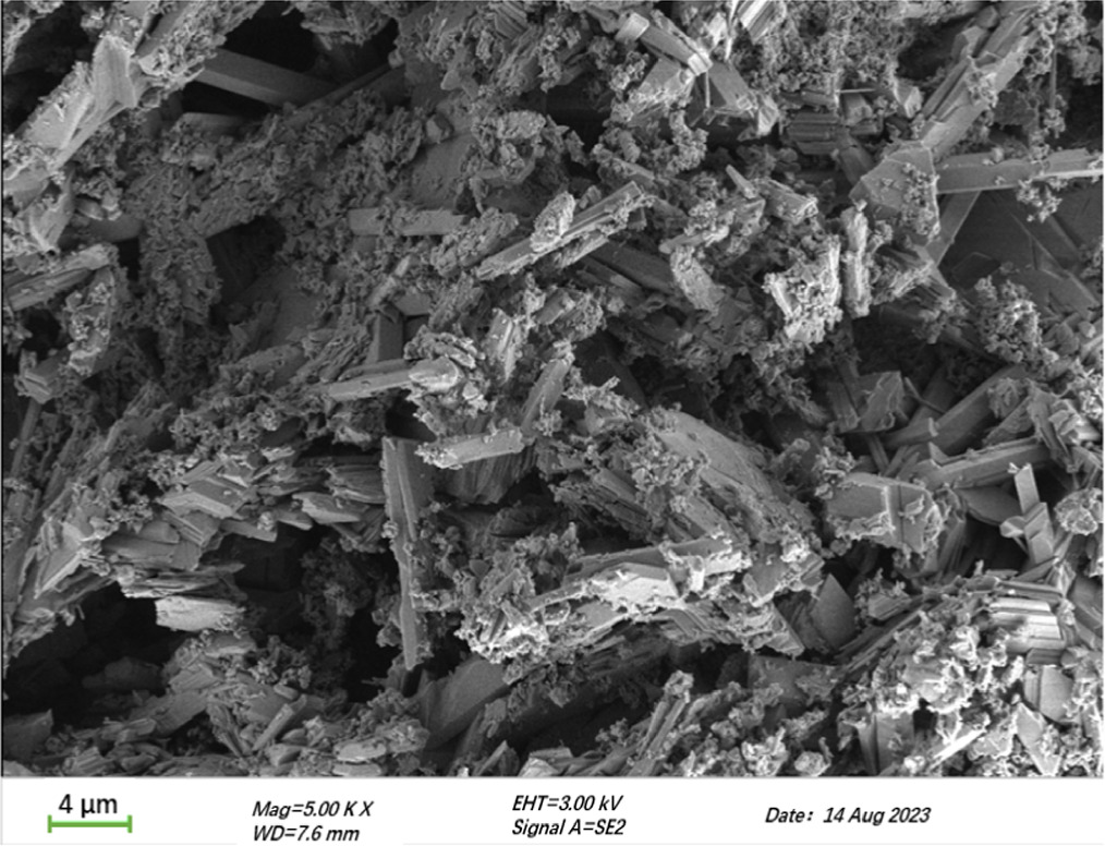 Study on antibacterial characteristics and mechanism of synergistic ...