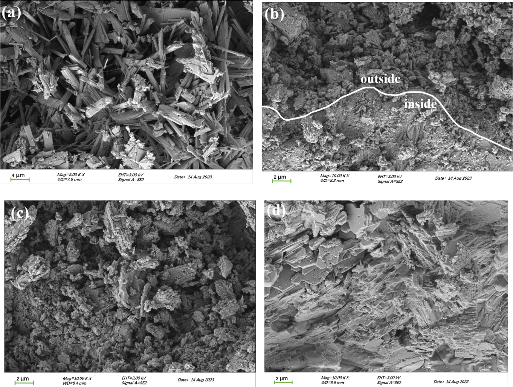 Study on antibacterial characteristics and mechanism of synergistic ...