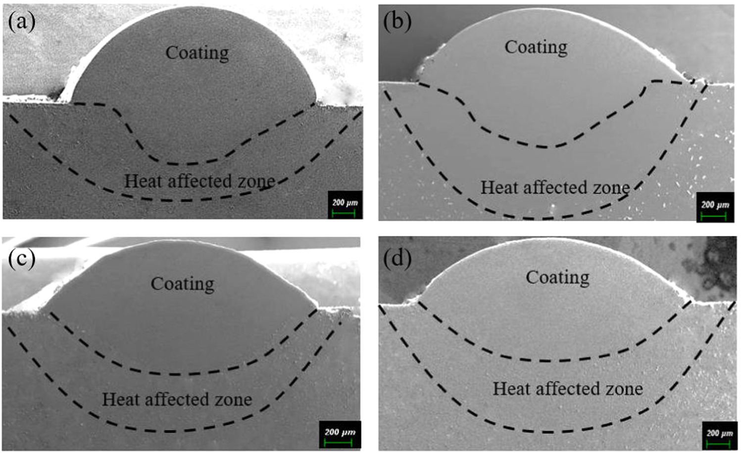 Effects of boron on microstructure, wear and corrosion properties of ...