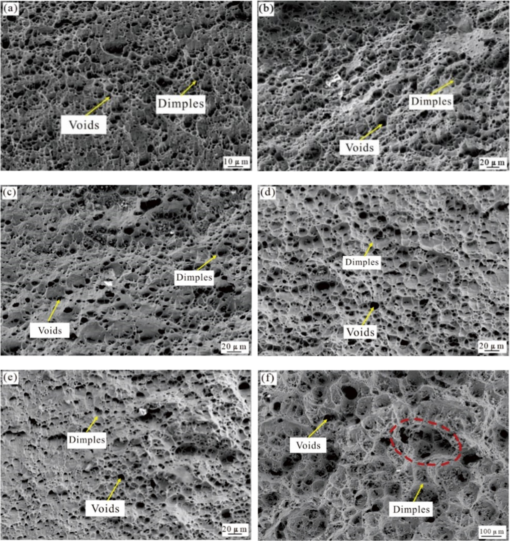 Study on microstructure and mechanical properties of 5052 aluminum ...