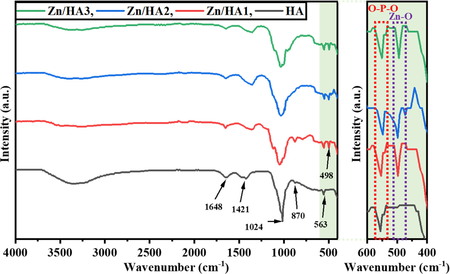 Exploring the molecular biology of zinc-doped hydroxyapatite ...