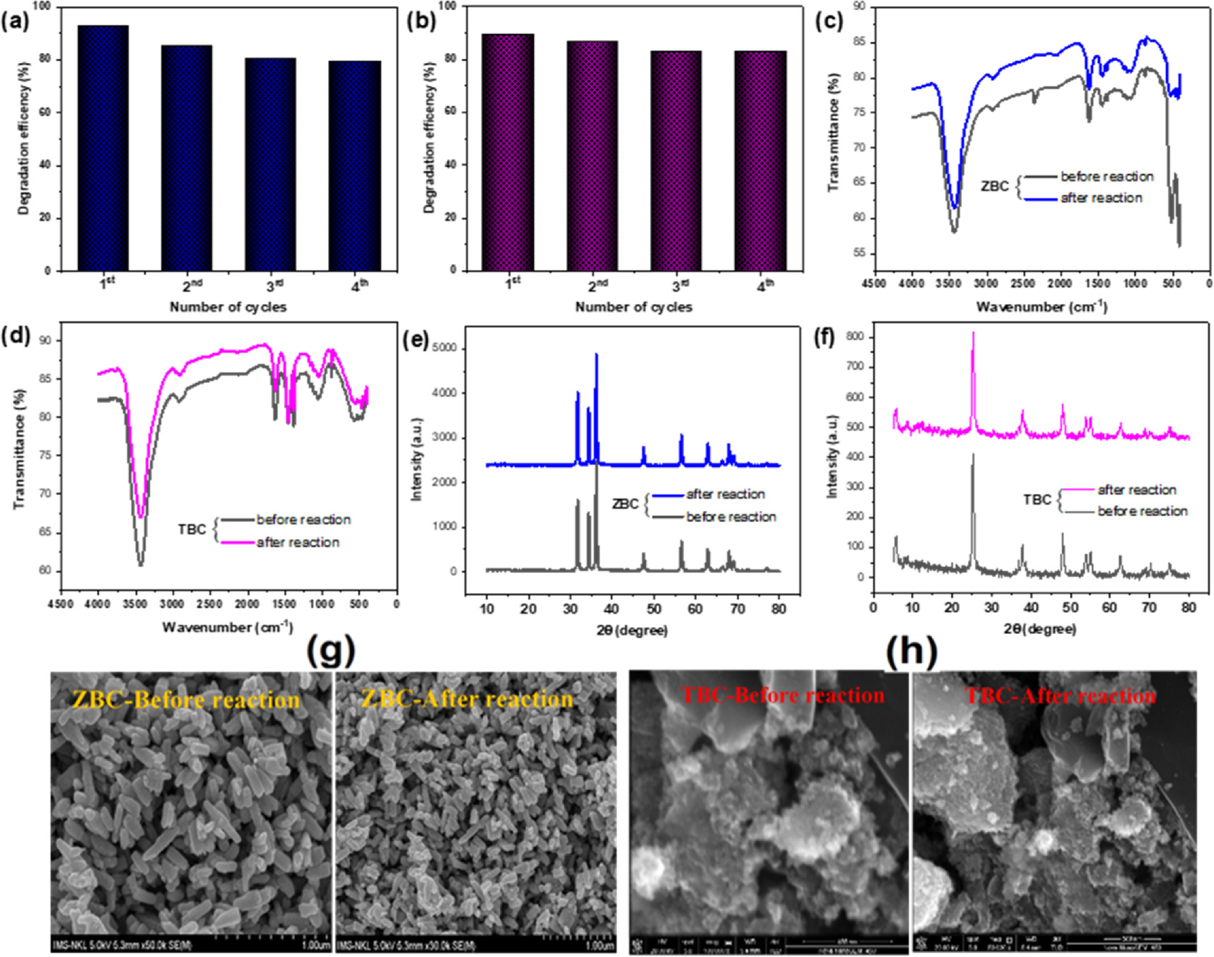 Dispersion of ZnO or TiO2 nanoparticles onto P. australis stem-derived ...
