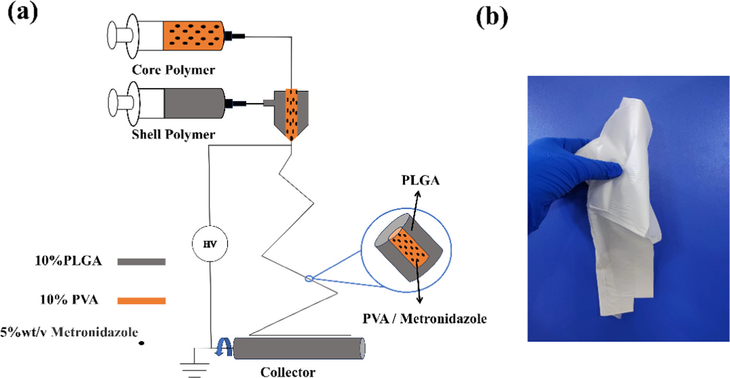 Potential applications of PLGA/PVA coaxial nanofibers with controlled ...