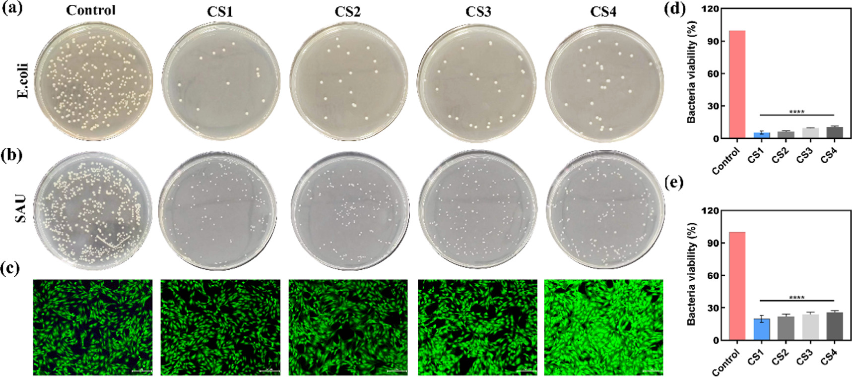 Potential applications of PLGA/PVA coaxial nanofibers with controlled ...