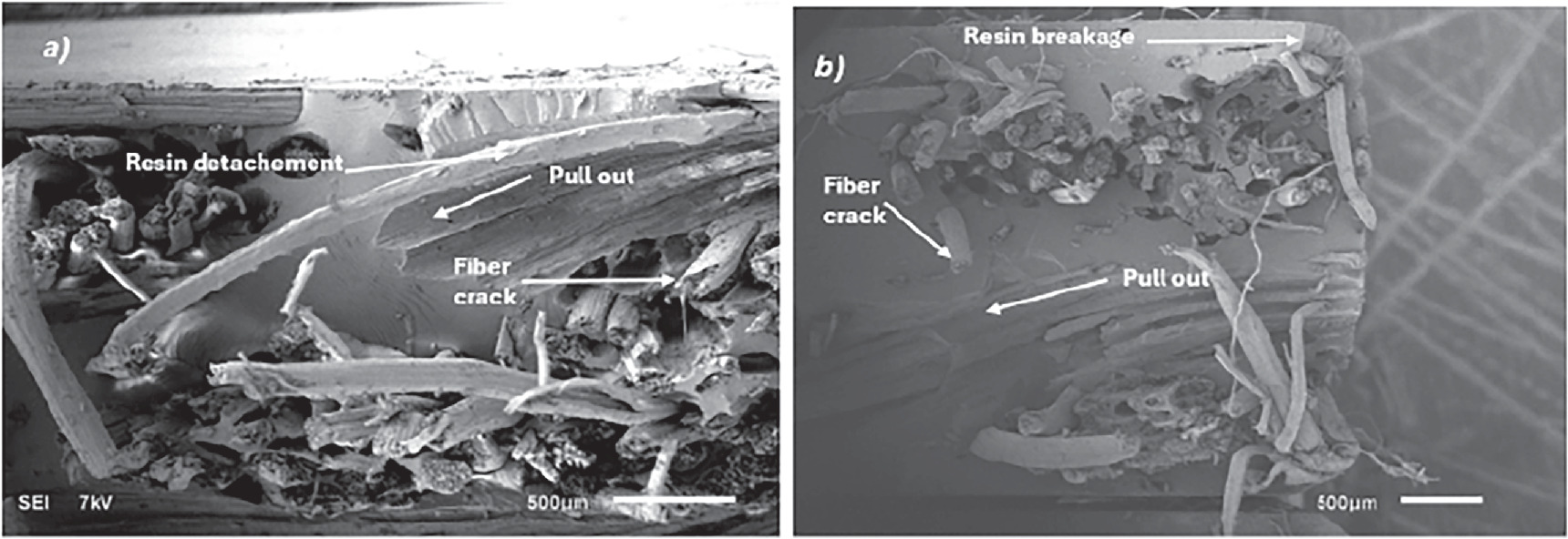 Mechanical performance of green composites made with natural fiber of ...