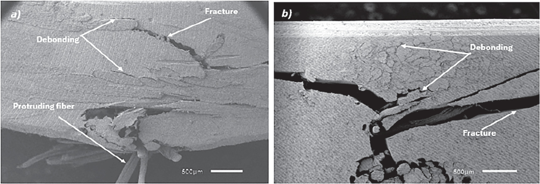 Mechanical performance of green composites made with natural fiber of ...