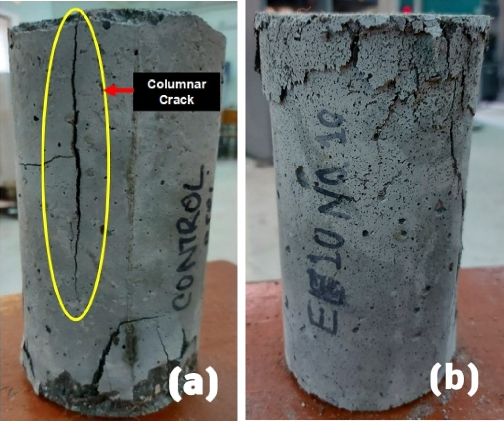 Combined influence of eggshell powder and nylon fiber on self ...