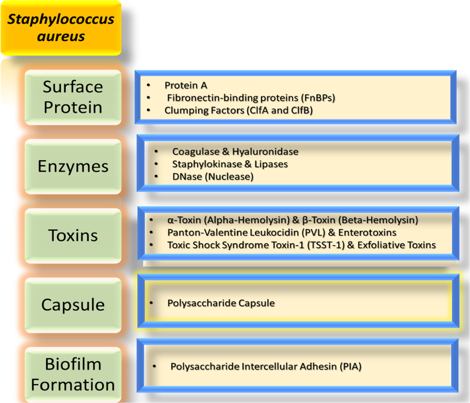 Nano-biotechnological approach for the ultrasensitive electrochemical ...