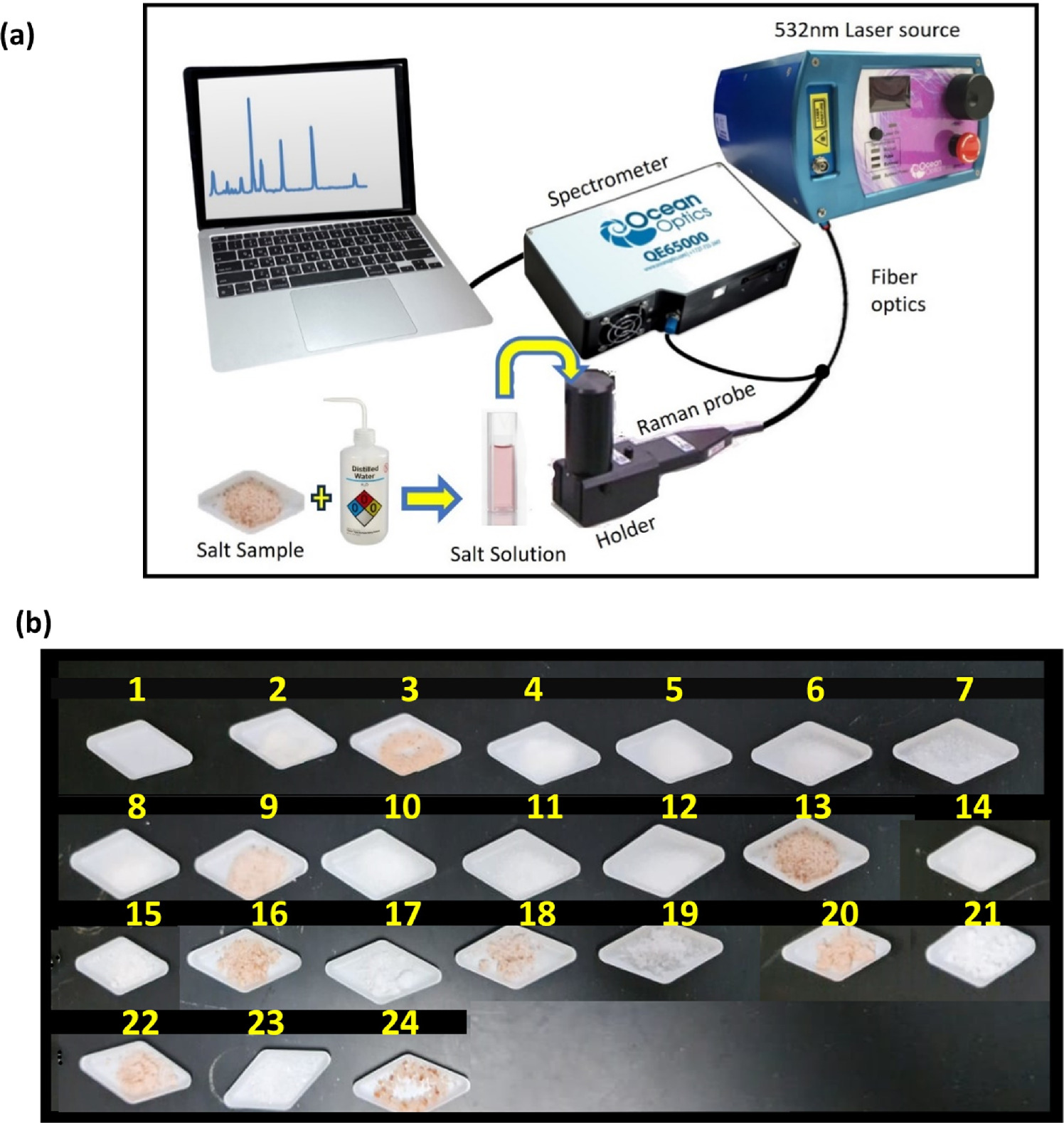 Classification of edible salts using Raman spectroscopy coupled with ...
