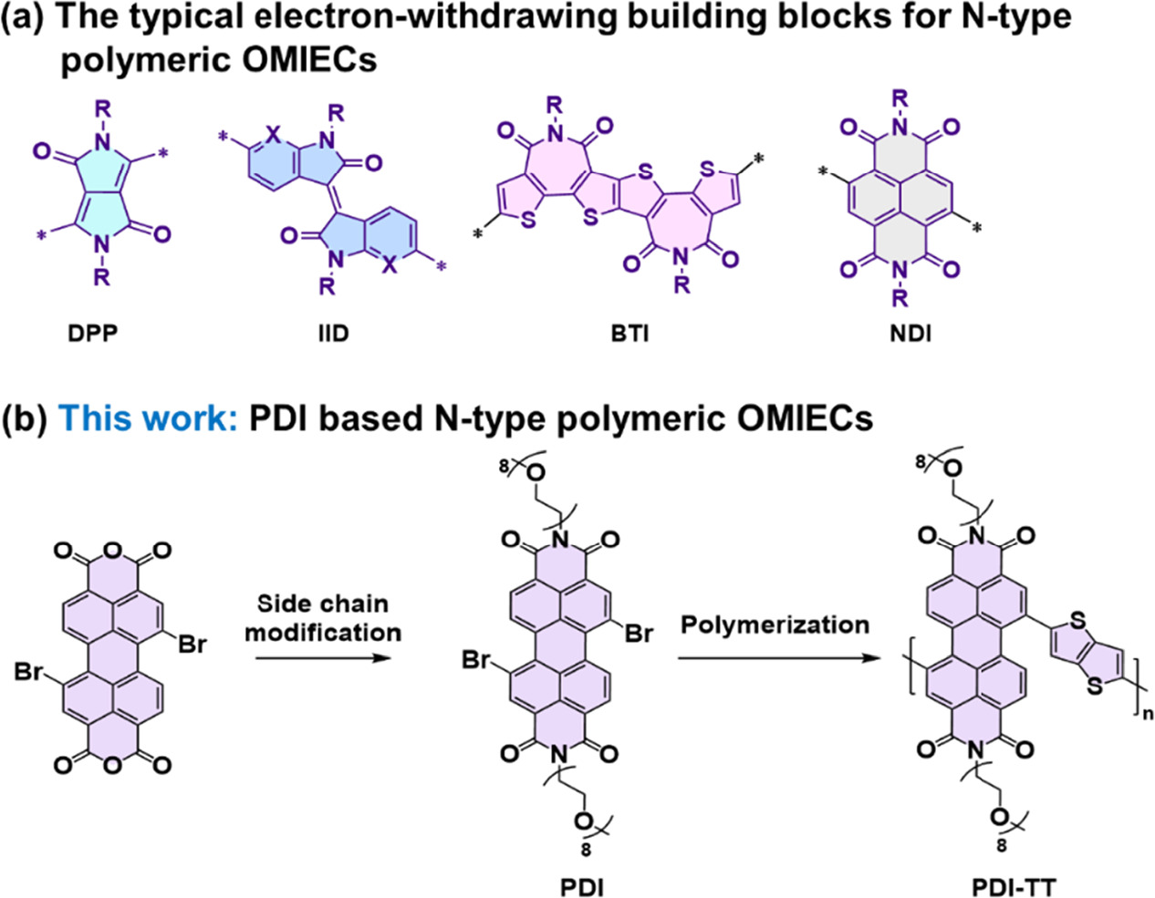 Perylenediimide based N-type polymer for vertical organic ...