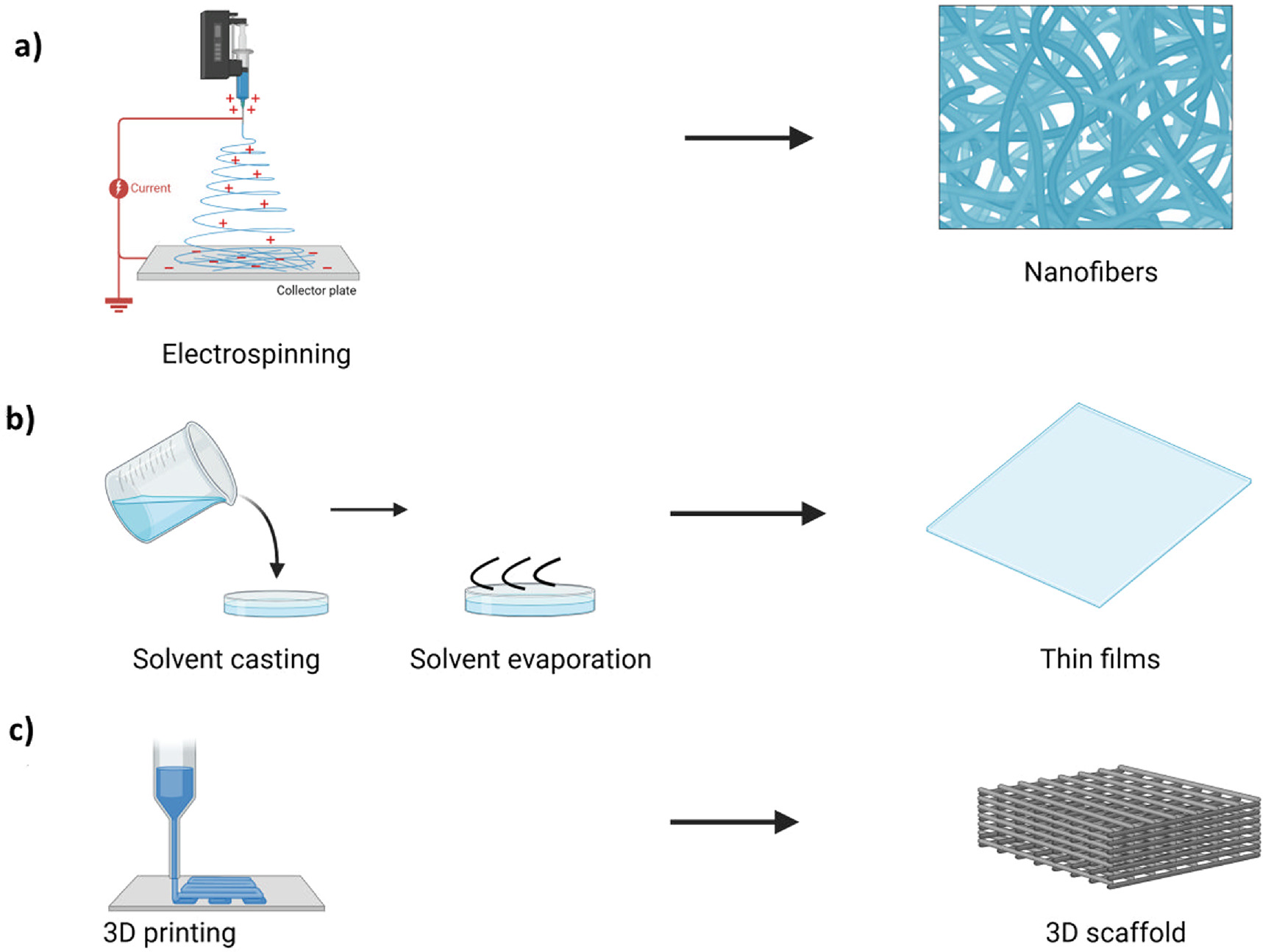 Poly (butylene adipate-co-terephthalate) (PBAT) in biomedical ...