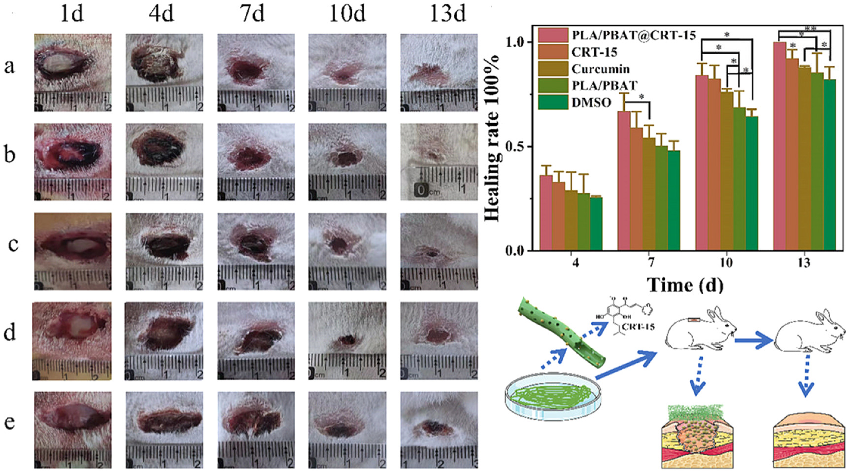 Poly (butylene adipate-co-terephthalate) (PBAT) in biomedical ...