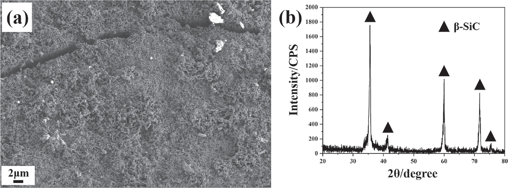 Enhanced oxidation resistance of CrSi2-SiC ceramic coatings on SiC ...