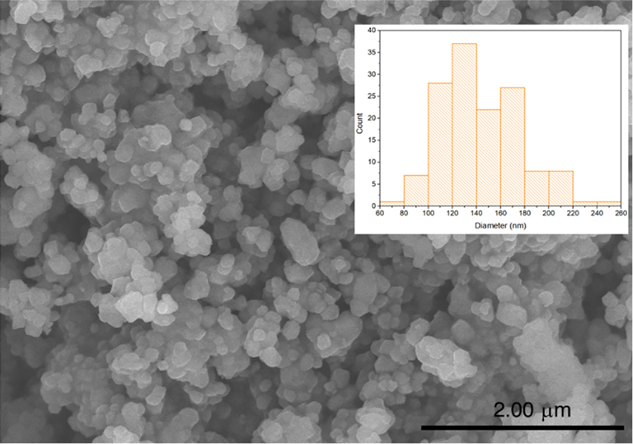 Novel chitosan/starch scaffold supplemented with hydroxyapatite ...