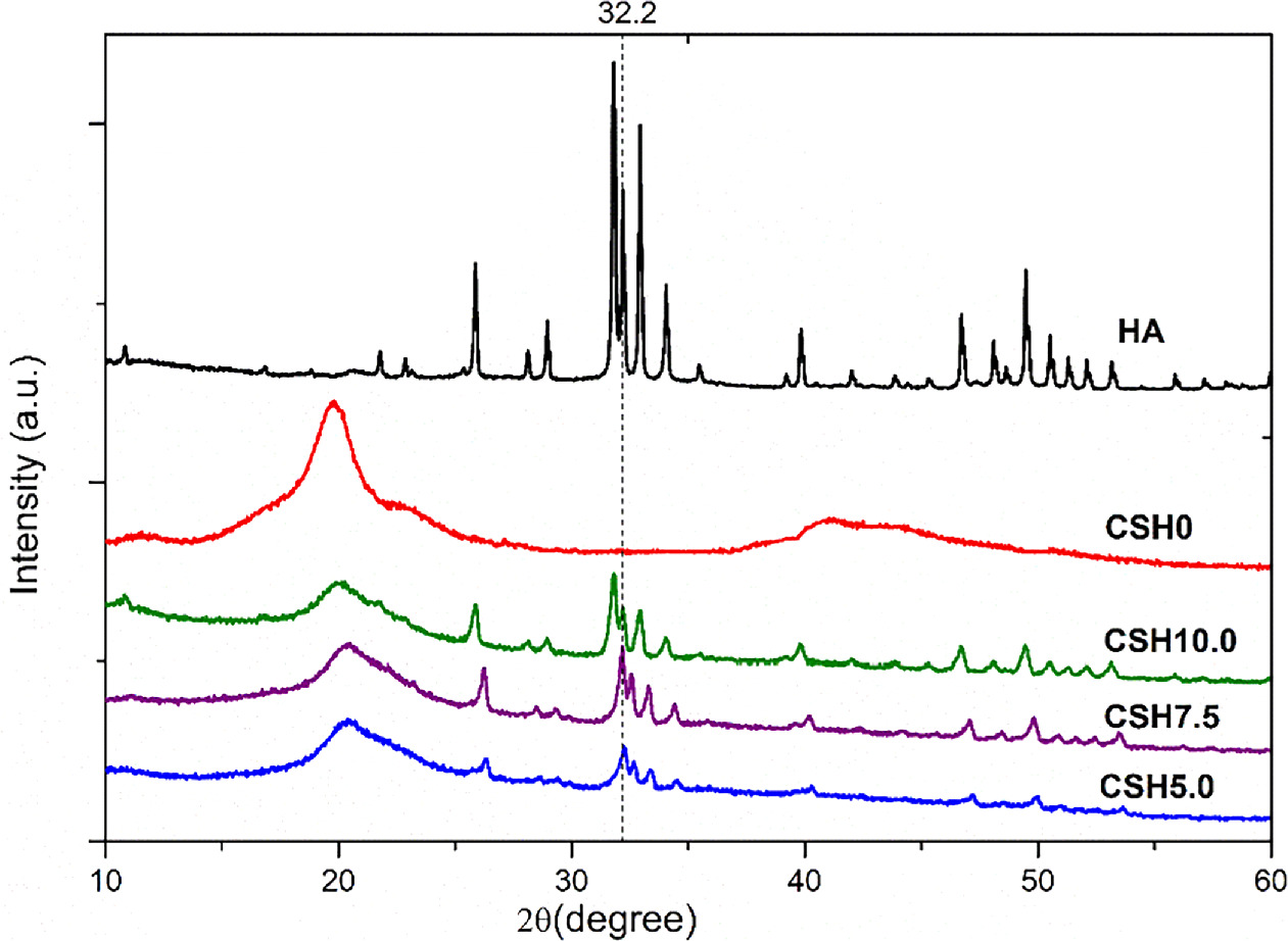 Novel chitosan/starch scaffold supplemented with hydroxyapatite ...