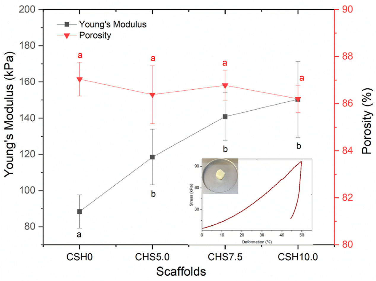 Novel chitosan/starch scaffold supplemented with hydroxyapatite ...