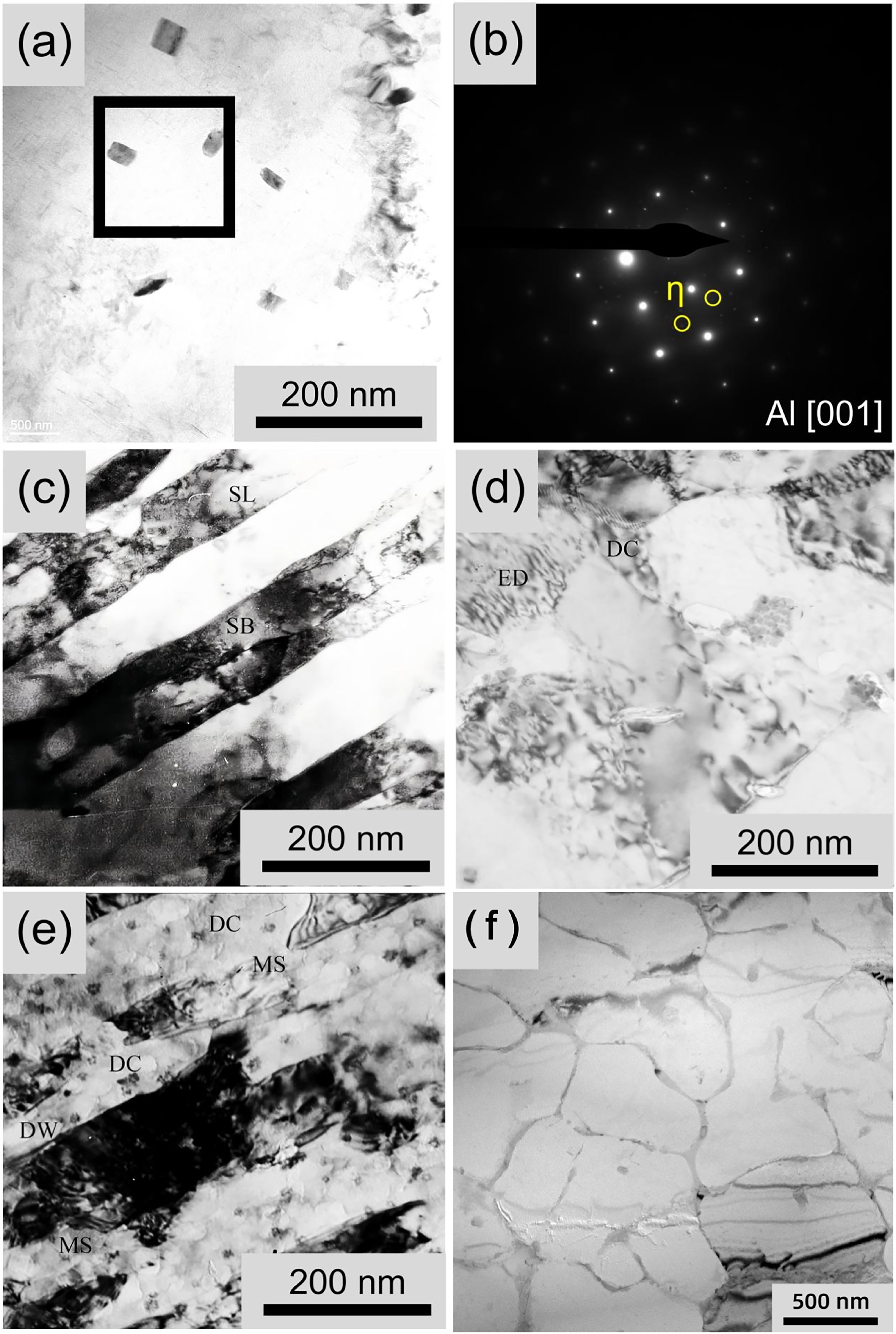 Dislocation-mediated grain refinement mechanisms in 7005 aluminum alloy ...
