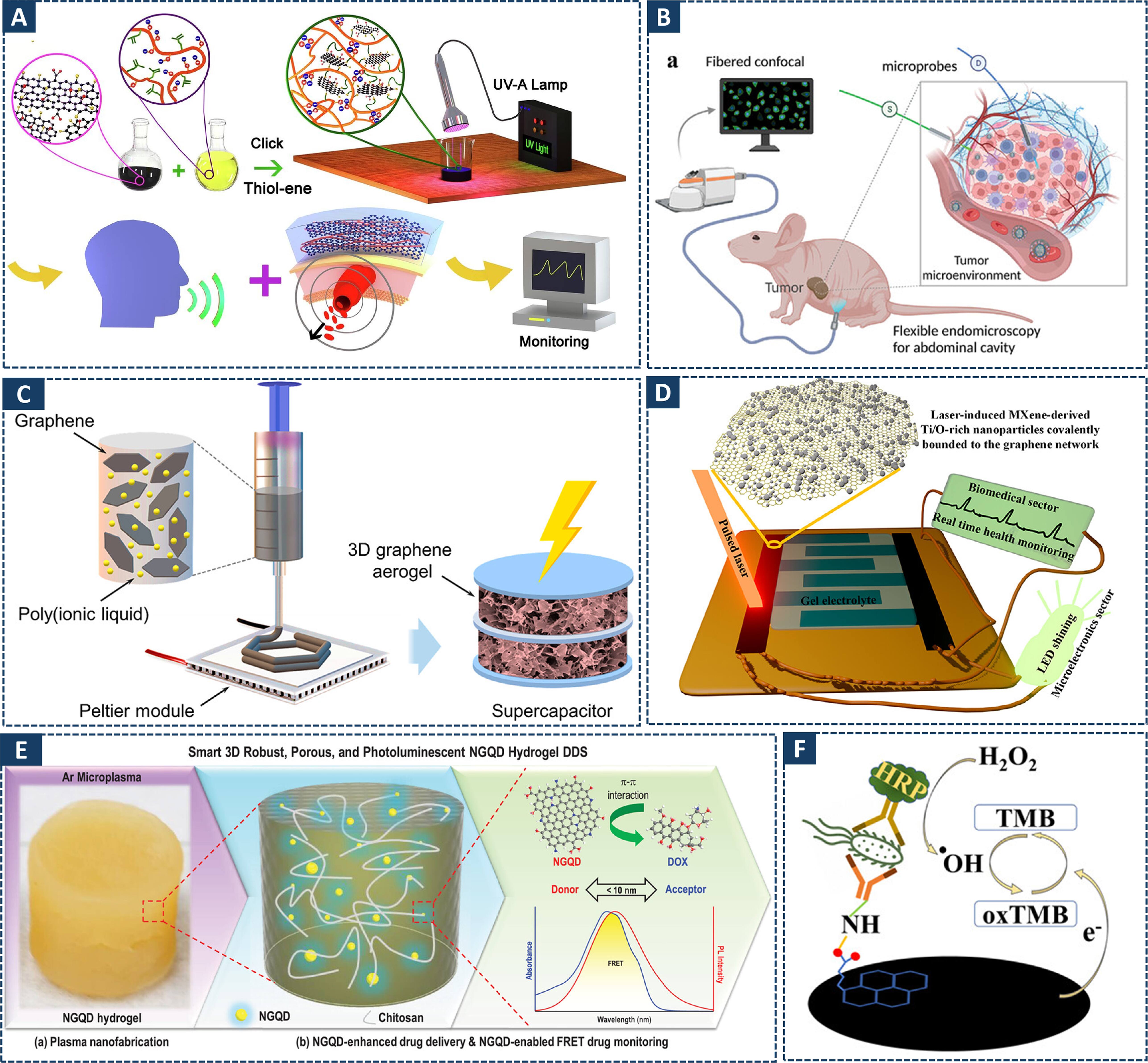 Advanced graphene-based nanostructures for energy, biomedical, and ...