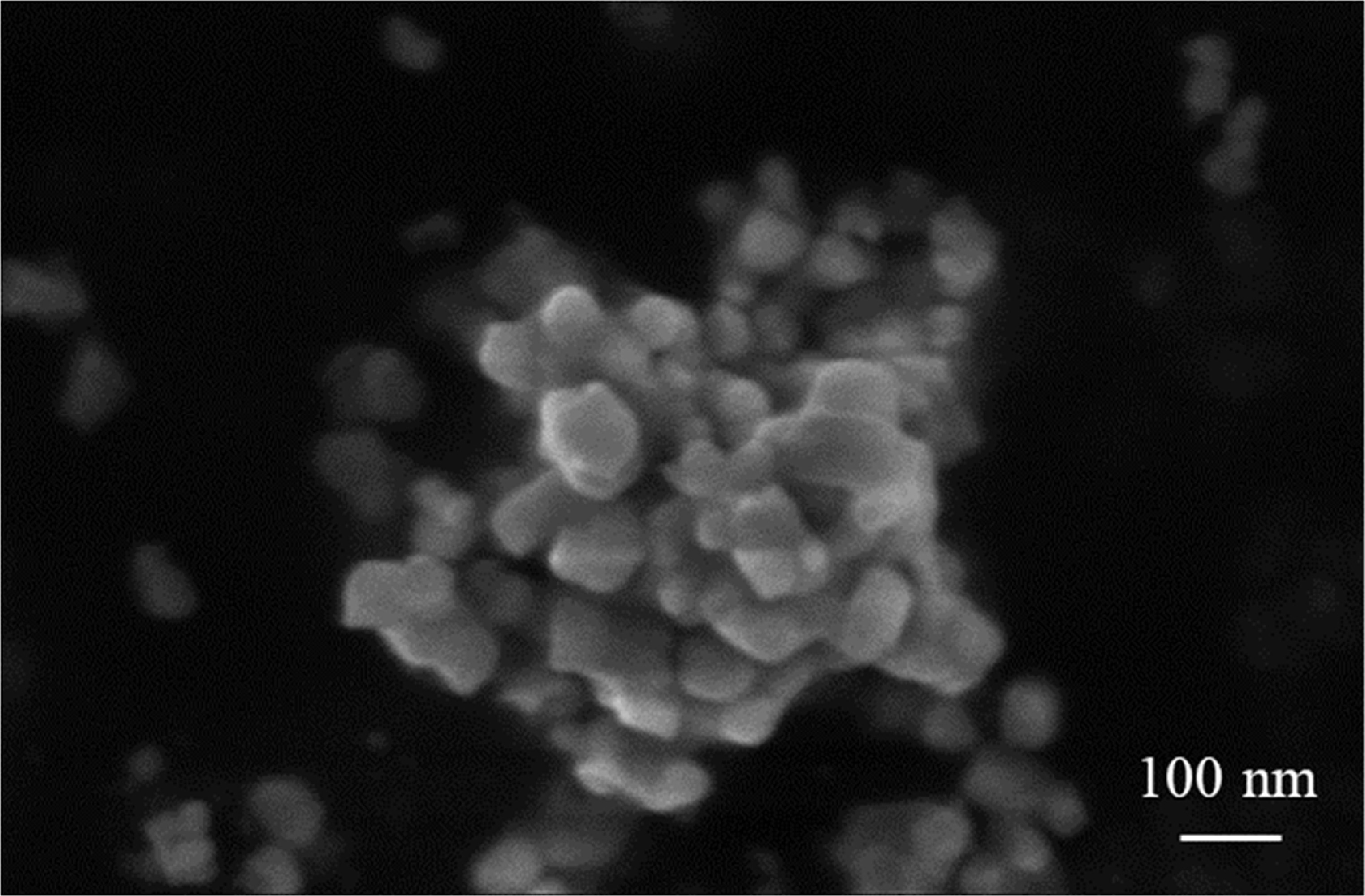 Effect of particle size distribution on properties of zirconia ceramics ...