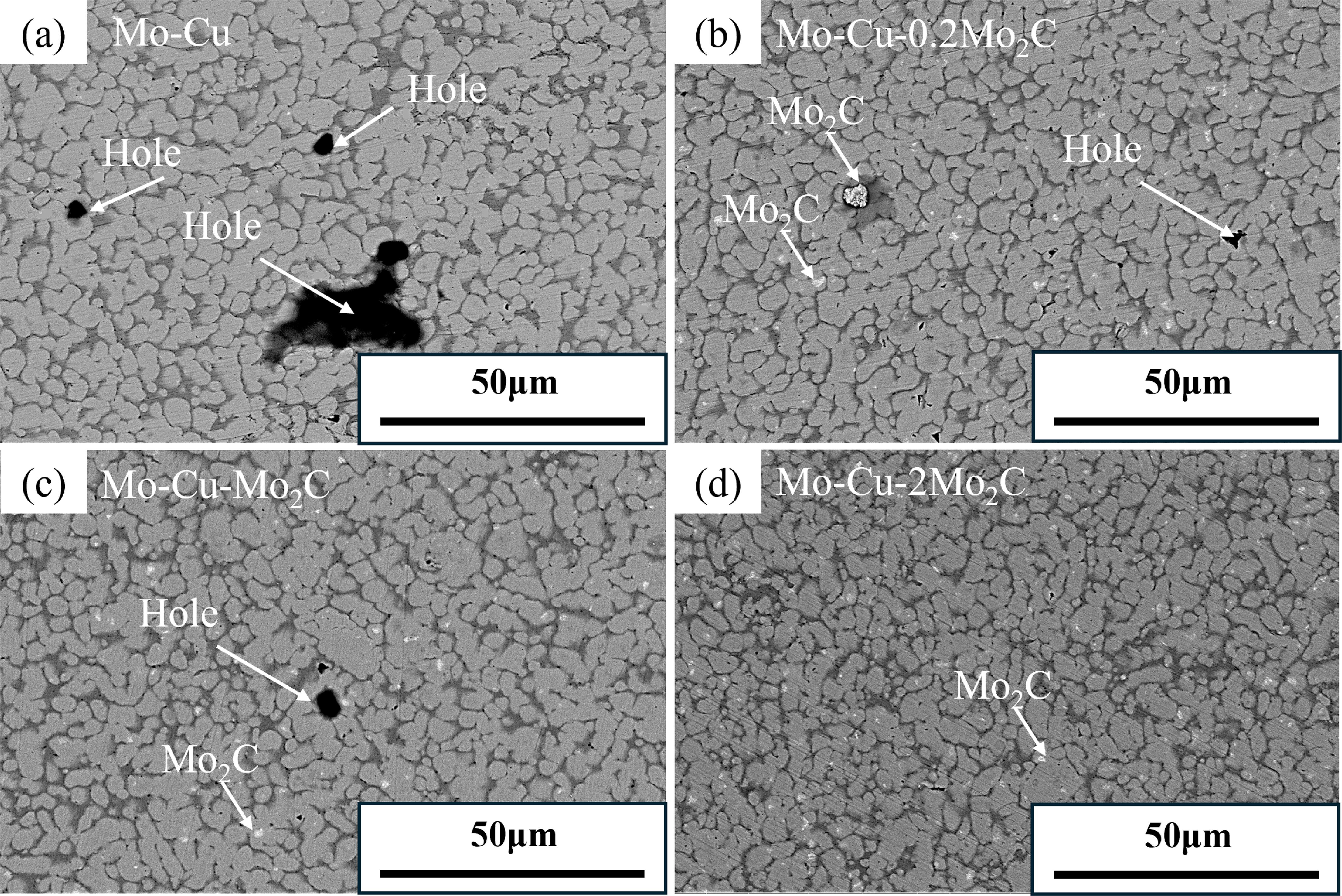 Investigation on the densification behavior of Mo-Cu composites ...