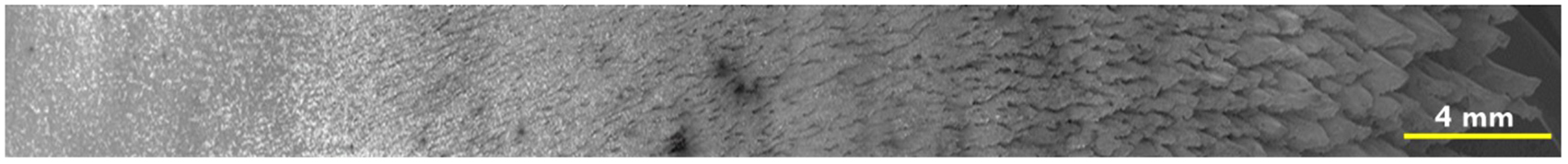 Water droplet erosion of stainless steel steam turbine blades - IOPscience