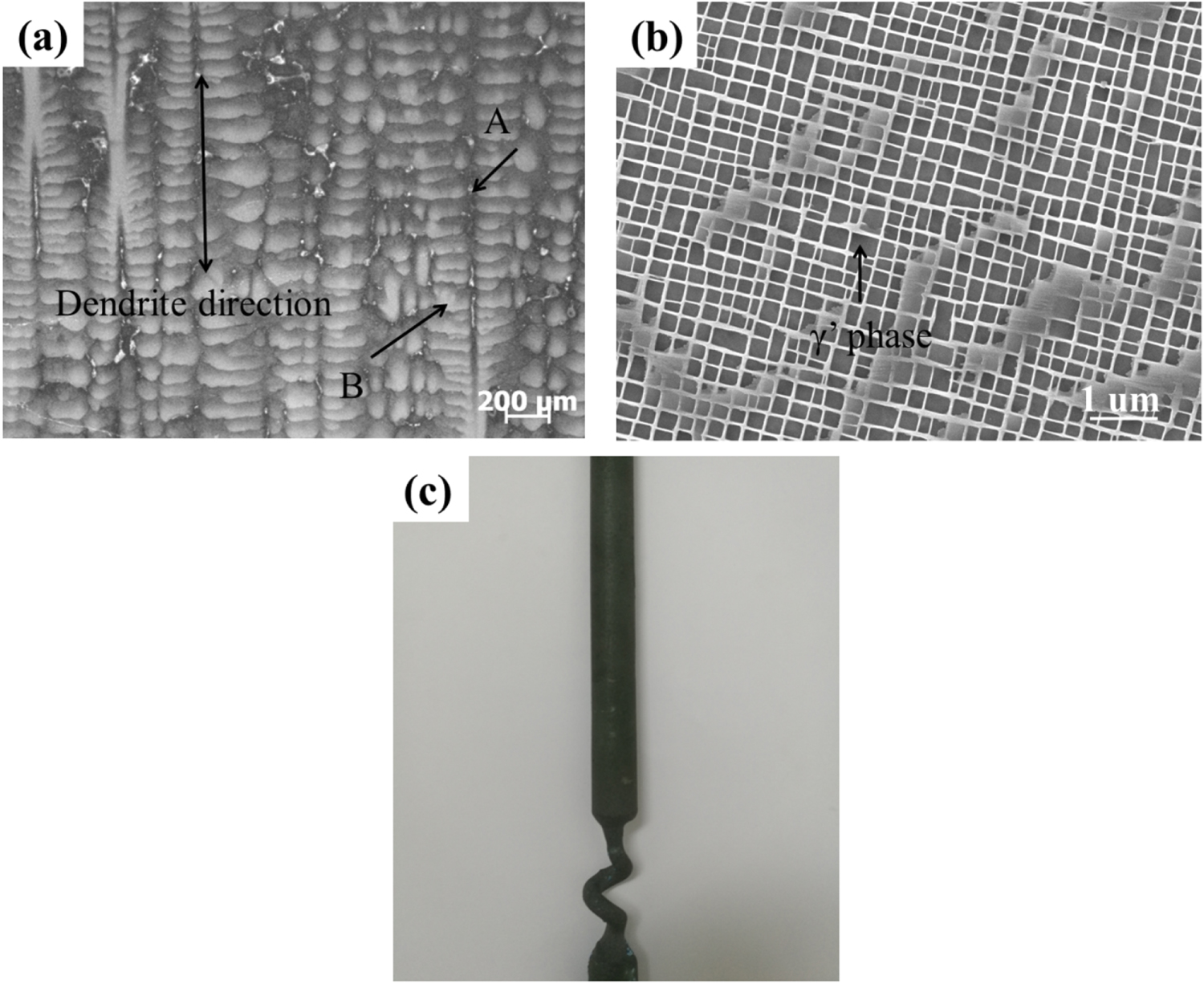 Thermal fatigue behavior of a nickel-base single crystal superalloy DD5 ...
