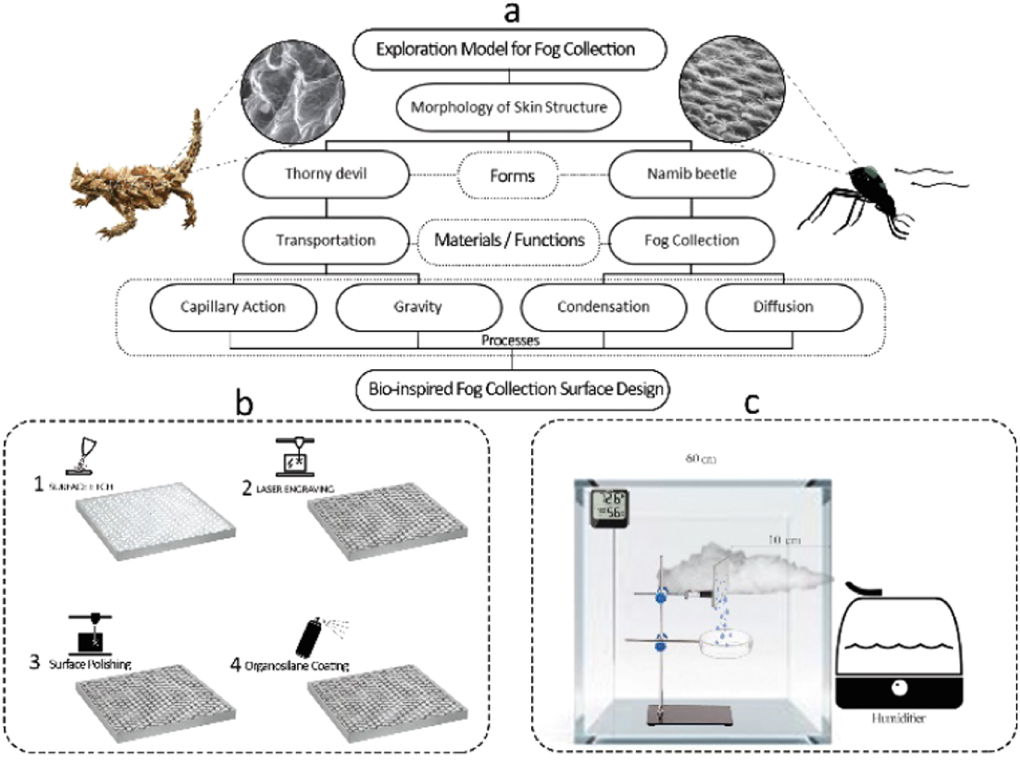 Bioware fog collectors: the Texas horned lizard as a model for a ...