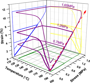 The effect of phthalide cardo structure on the shape memory performance ...