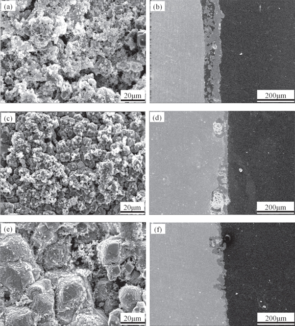 Electrochemical behavior and localized corrosion of X65 steel in high ...