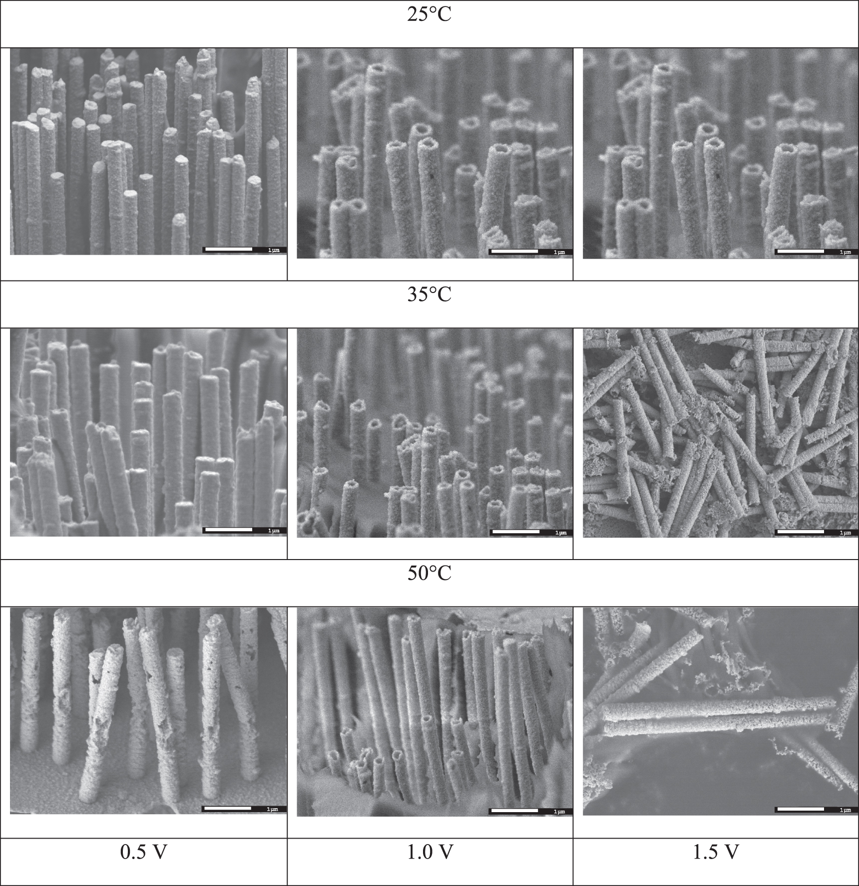 Synthesis and properties of Cu/CuO nanostructures obtained by ...