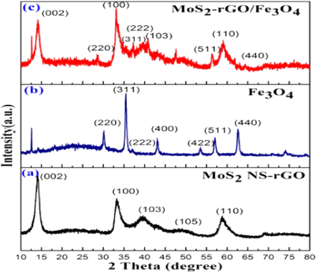 Synthesis of MoS2-reduced graphene oxide/Fe3O4 nanocomposite for ...