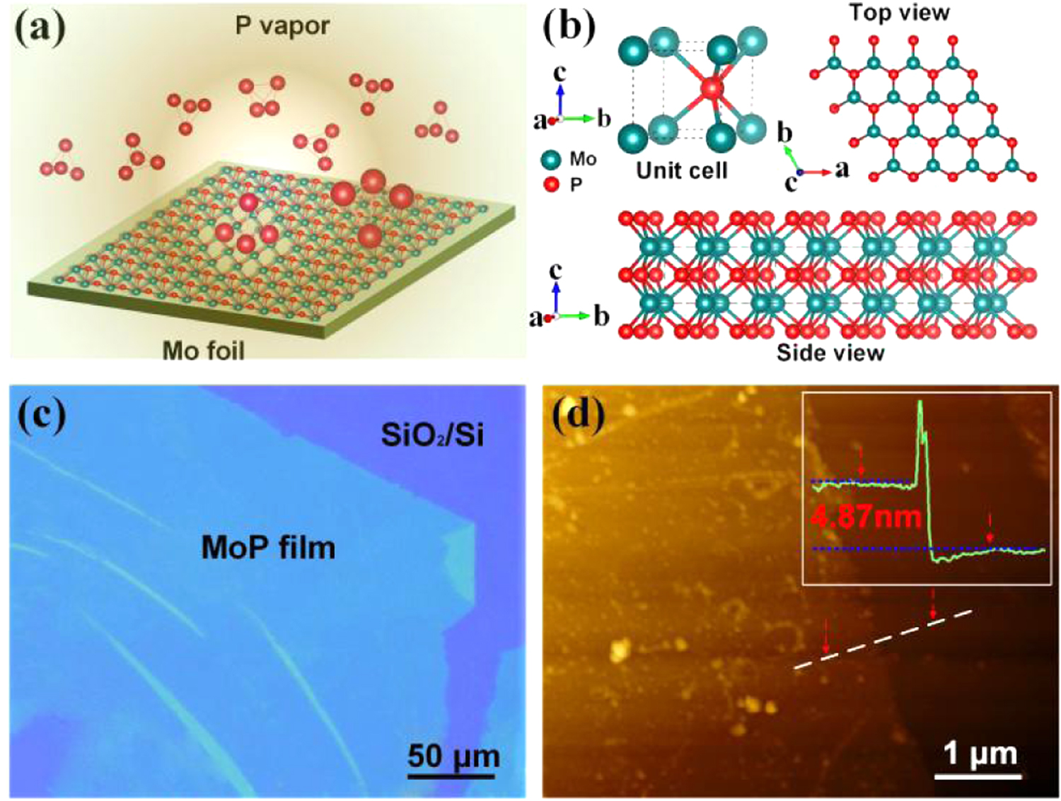 Ultrathin molybdenum phosphide films as high-efficiency ...