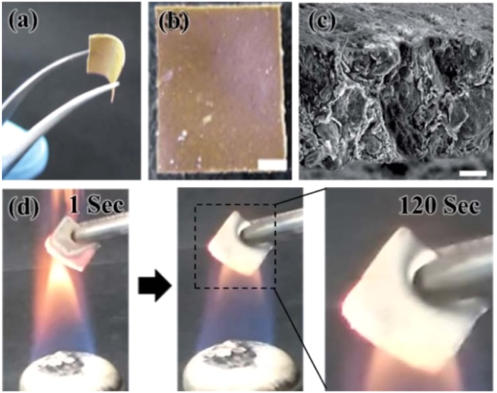 A review of recent advances in two-dimensional natural clay vermiculite ...