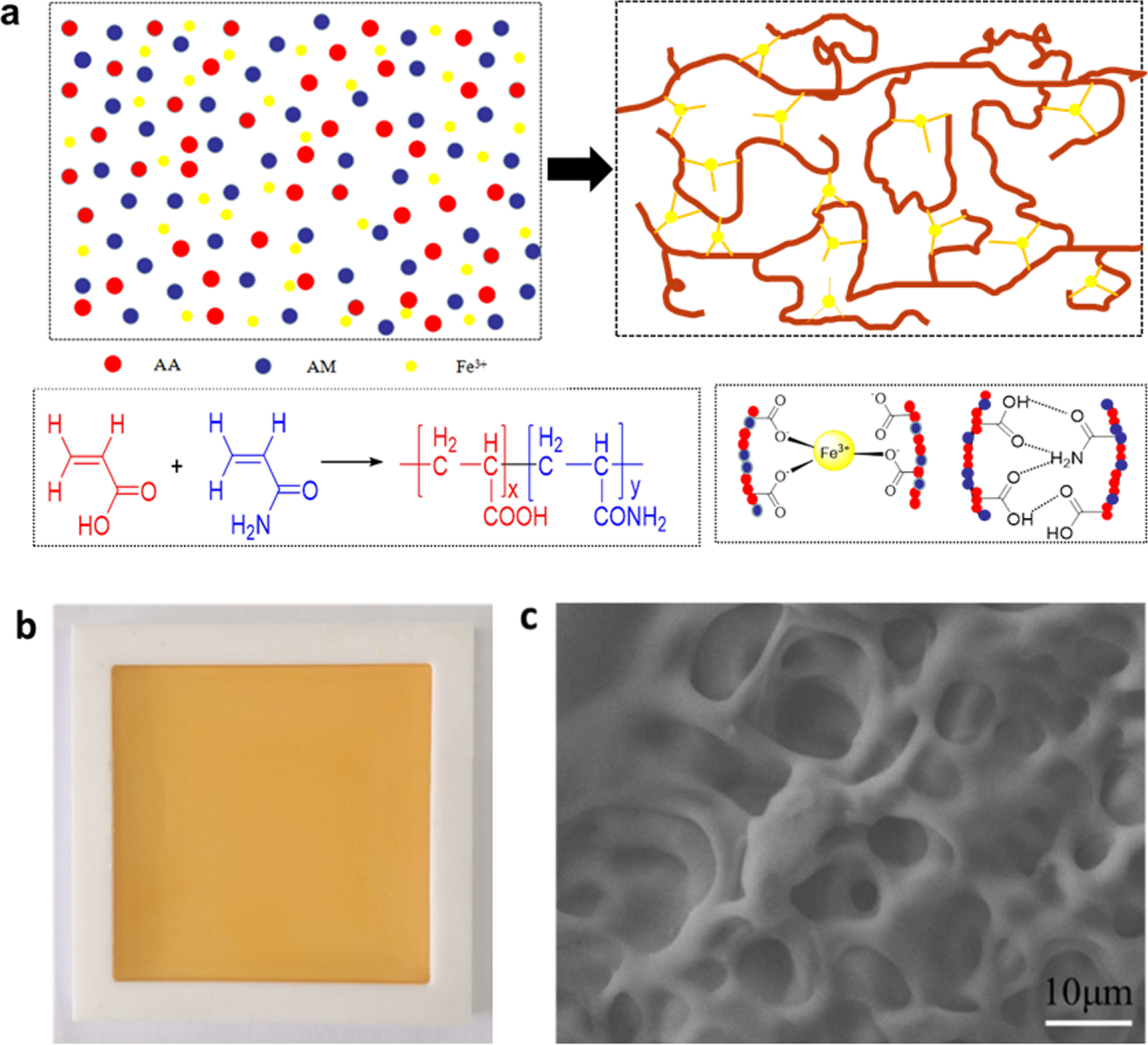 Conductive double-crosslinked network hydrogel with superior ...