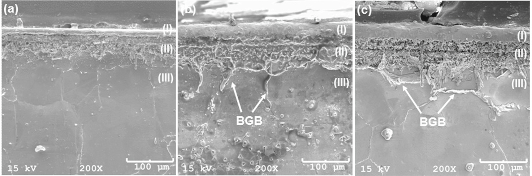 Microstructure and properties of borided Monel 400 alloy - IOPscience