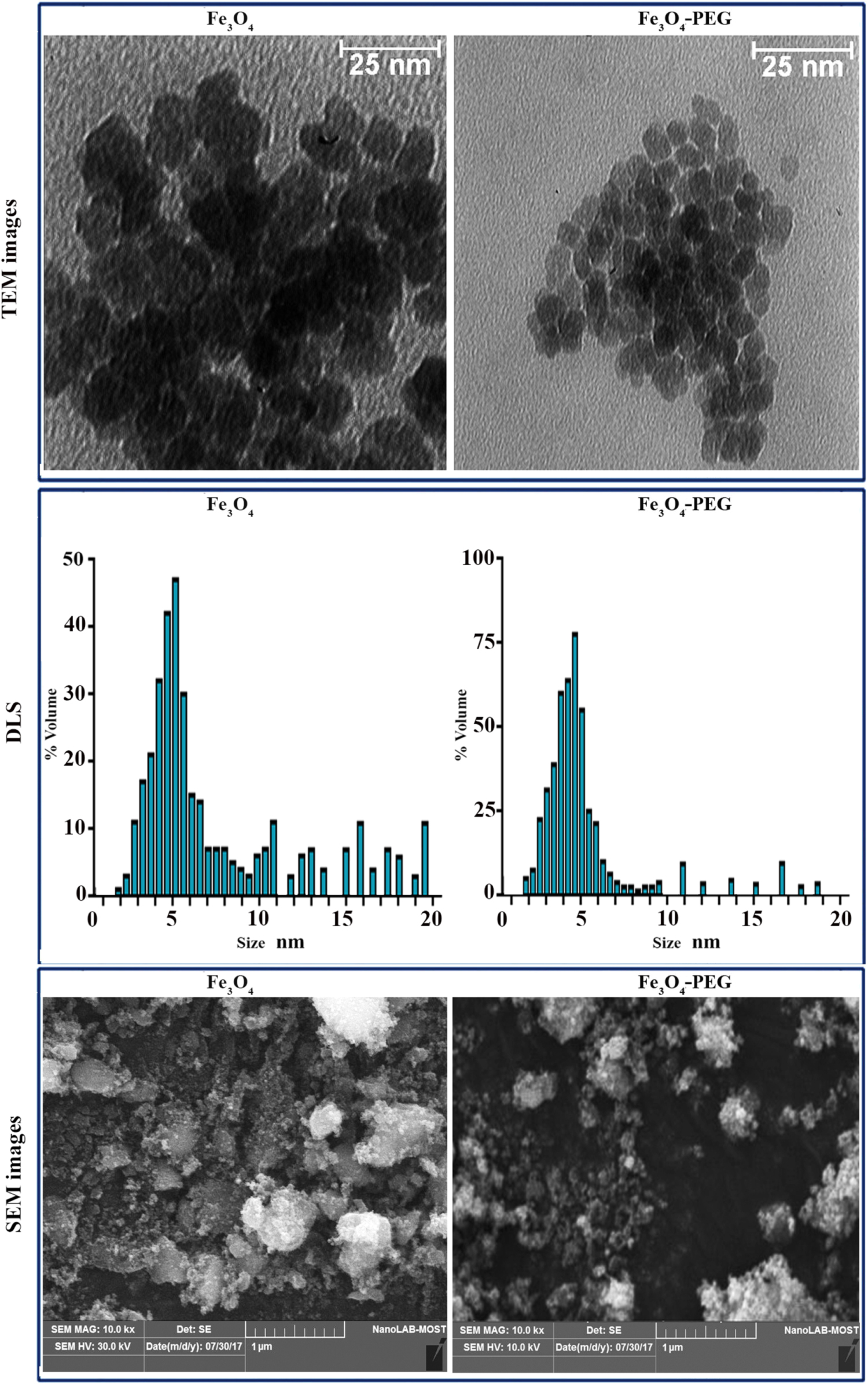 Supermagnetic Fe3O4-PEG nanoparticles combined with NIR laser and ...