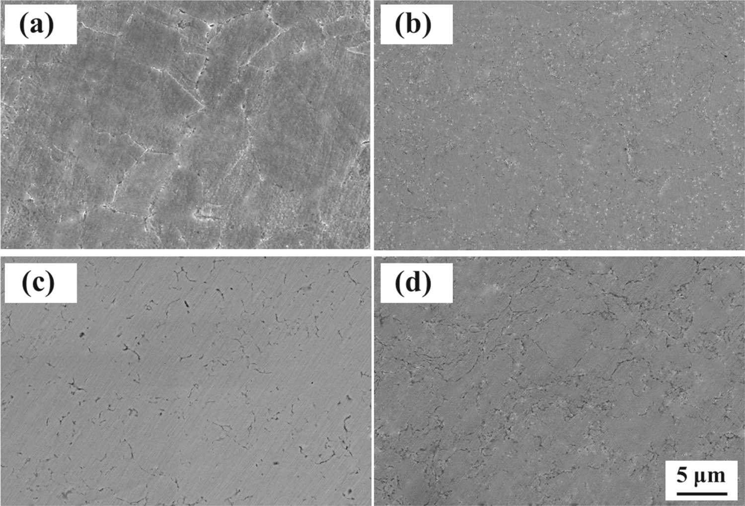 Tribological and mechanical properties of copper matrix composites ...