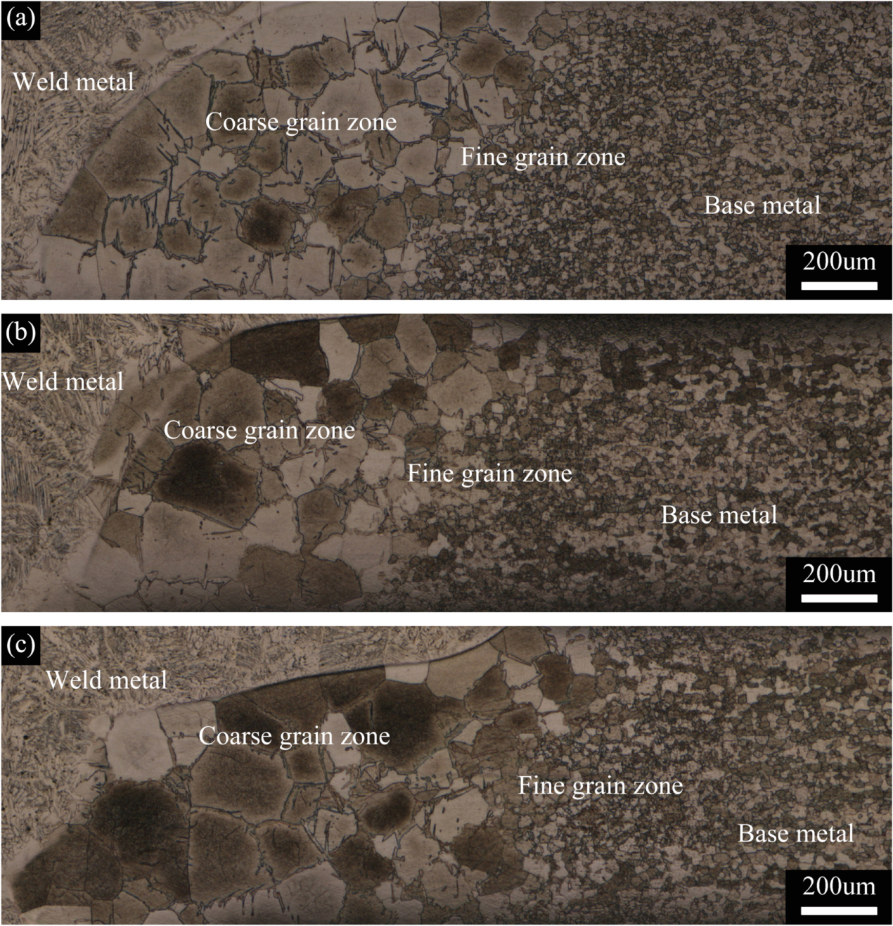 Microstructure and mechanical properties of AISI 430 ferritic stainless ...