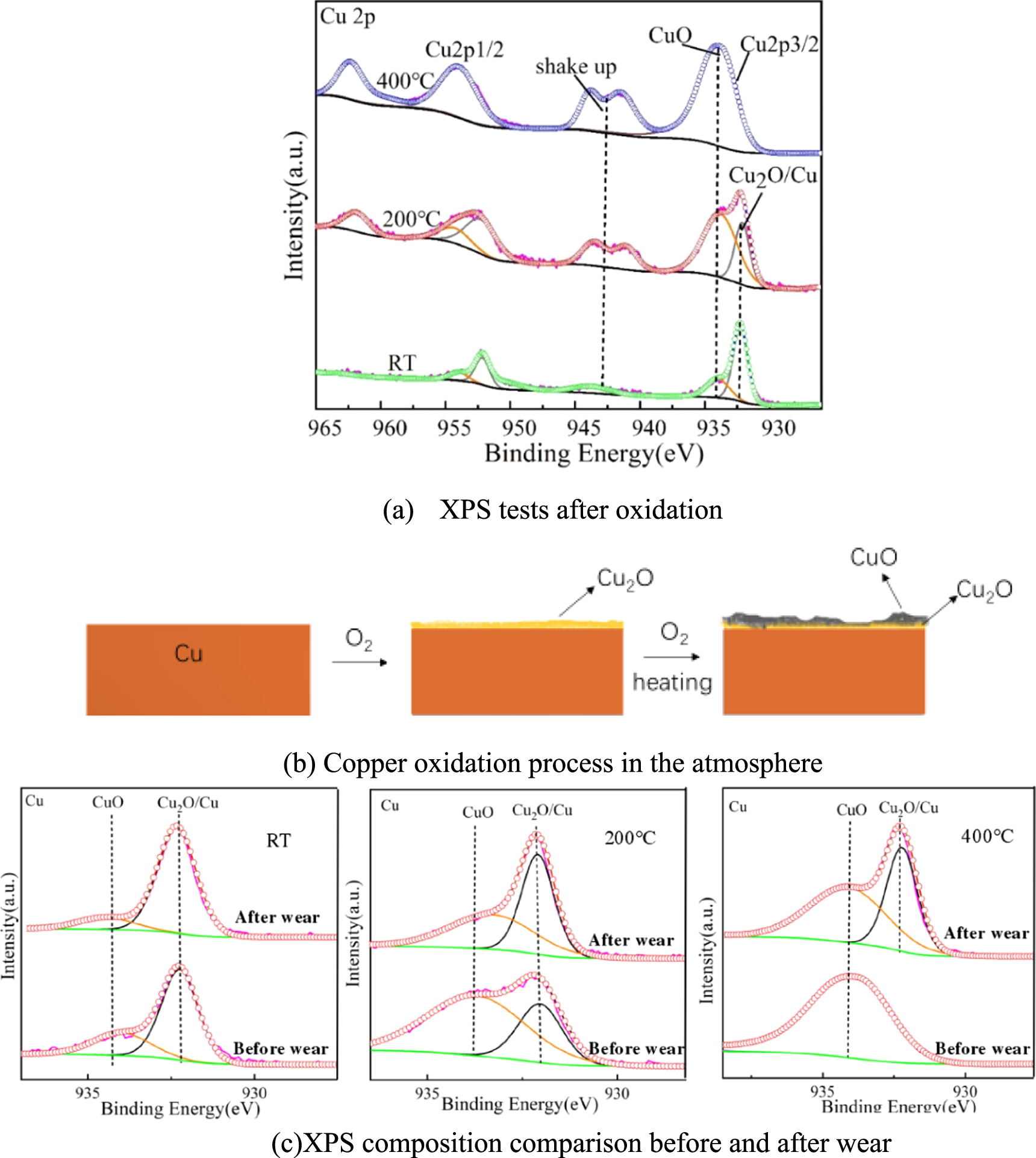 Effects of oxidation layer and roughness on the fretting wear behavior ...