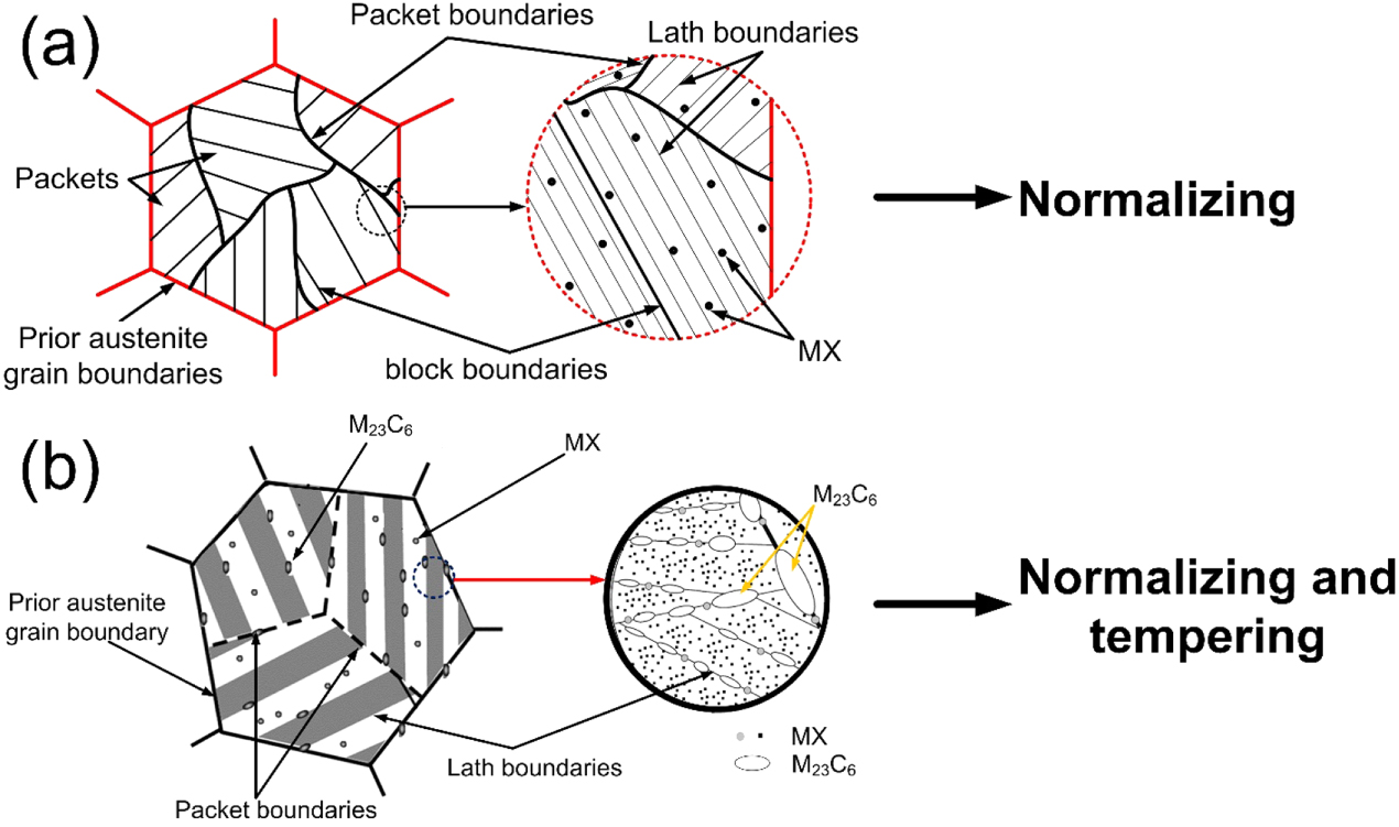 Prior-austenite grain refinement in P92 steel using double ...