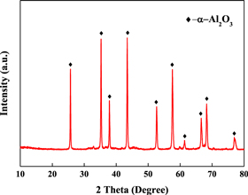 Preparation of alumina precursor sols with a high solid content for ...