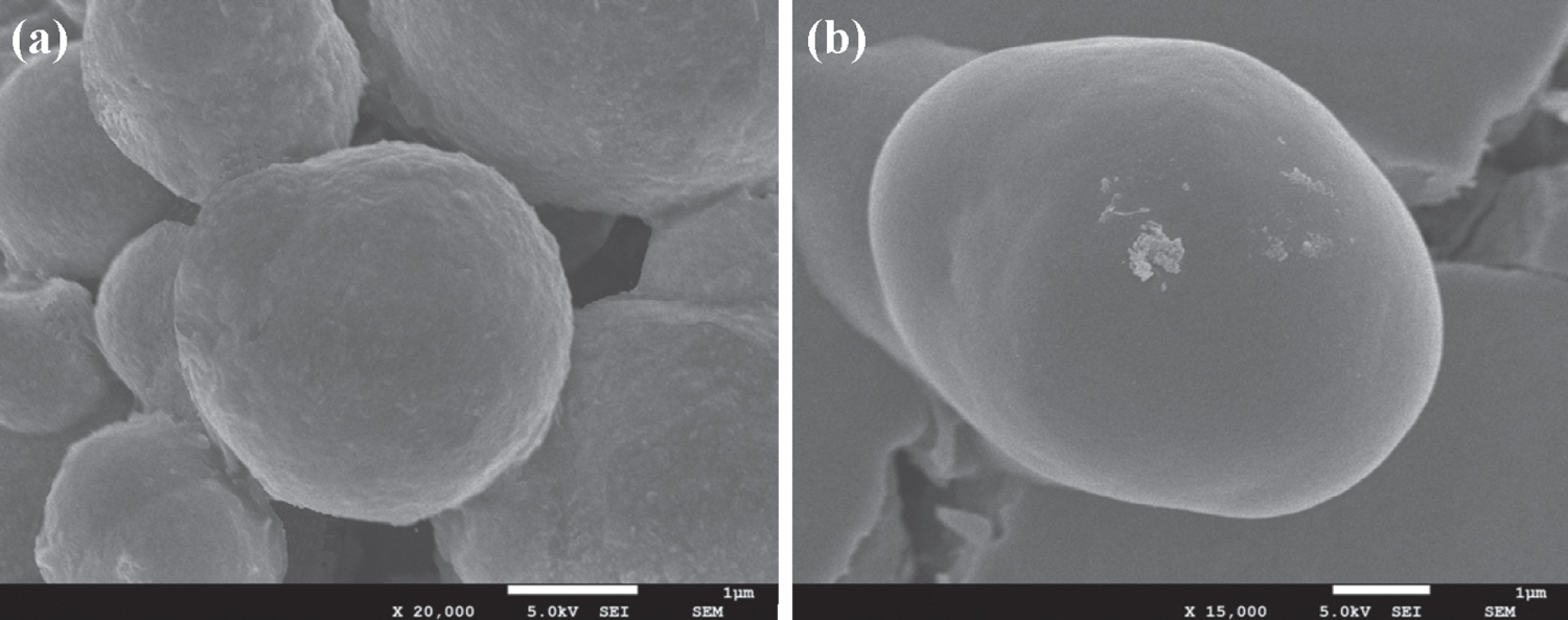 Investigation into fabrication, characterization and swelling behaviour ...