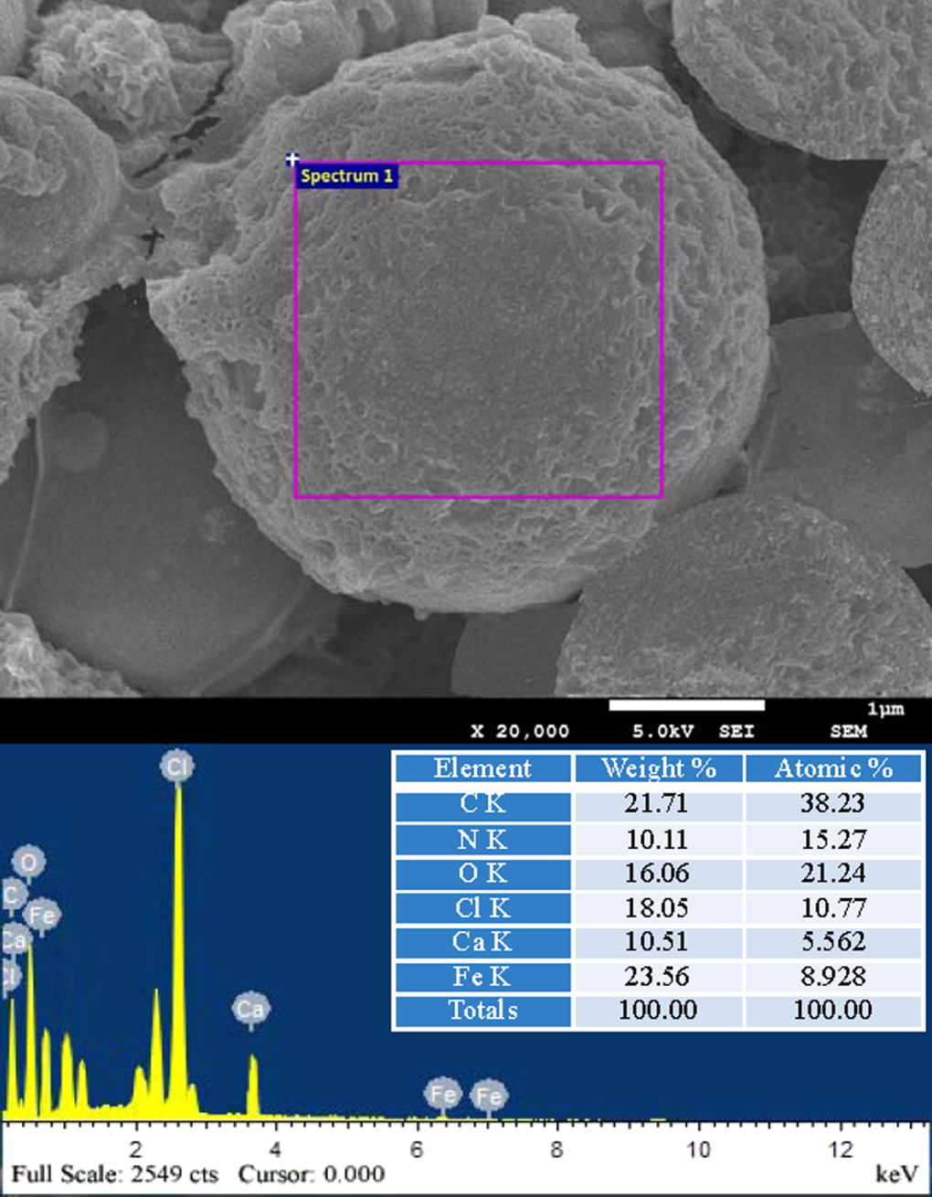 Investigation into fabrication, characterization and swelling behaviour ...
