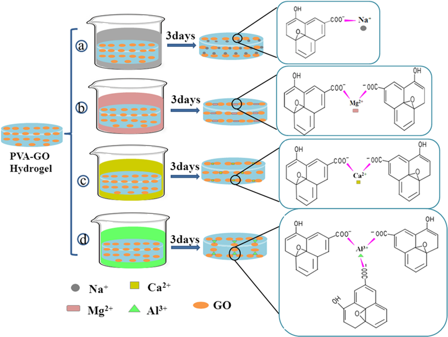Preparation of PVA-GO composite hydrogel and effect of ionic ...