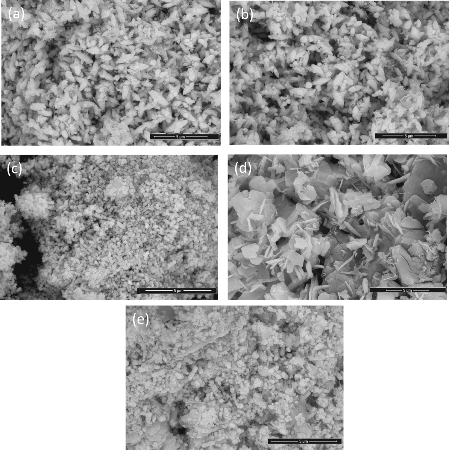 Nano ZnO (hexagonal wurtzite) of different shapes under various ...