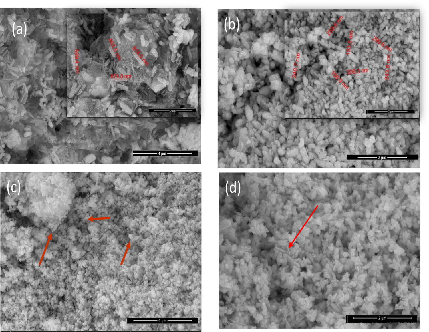 Nano ZnO (hexagonal wurtzite) of different shapes under various ...
